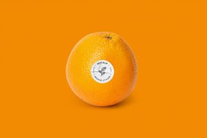 Orange Sticker Logo Mockup | Mockupslib